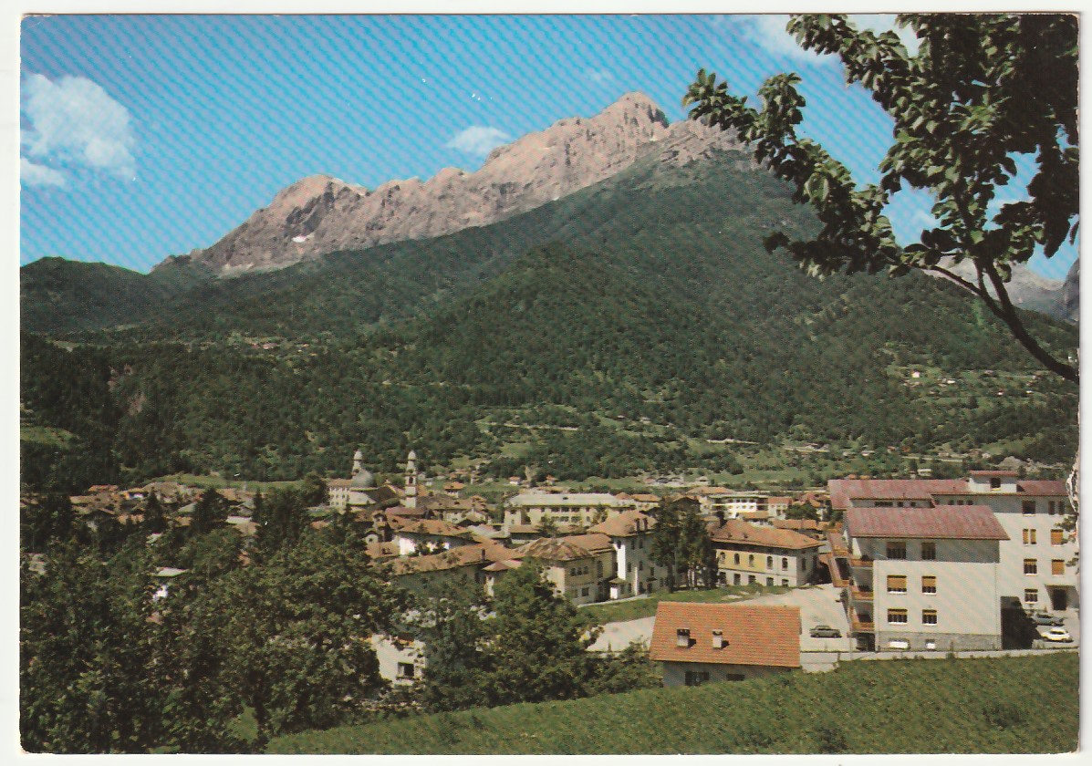 Agordo - Belluno - Monte Agner -70271-