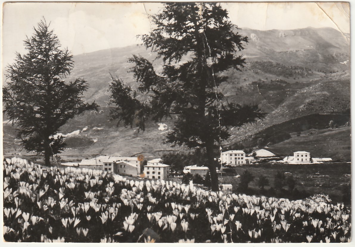 Spiazzi Di Monte Baldo - Verona - Viagg. 1963 -70928-