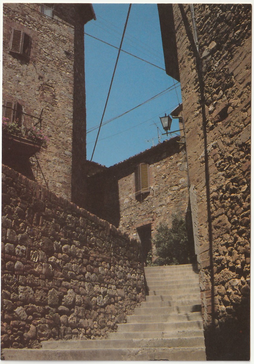 Casole D'elsa - Siena - Via A. Vannini -71608-