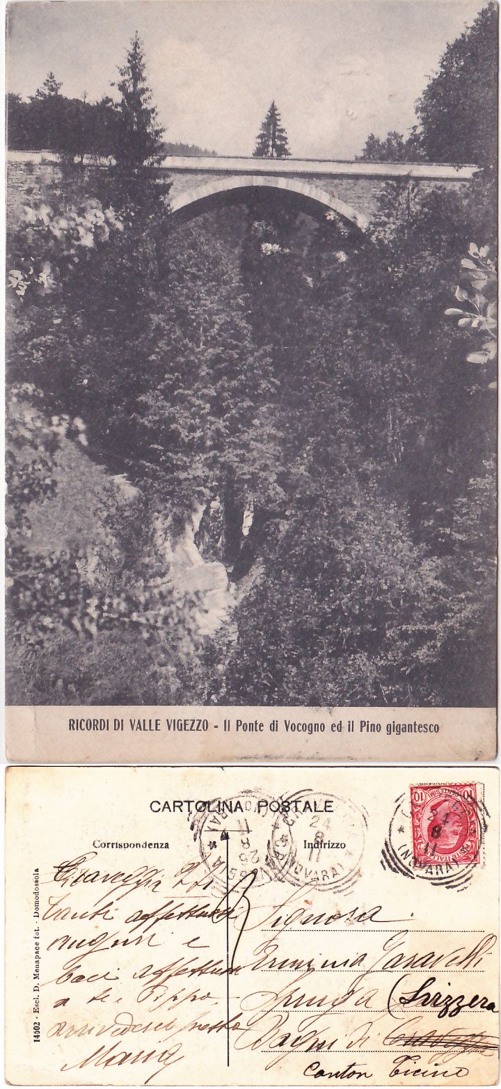 Ponte Di Vocogno Ed Il Pino Gigantesco - Verbania - Viagg. 1911 -87922-