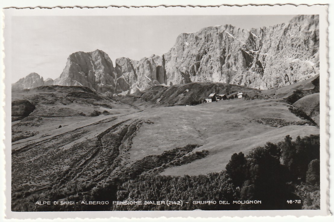 Alpe Di Siusi - Bolzano - Albergo Pensione Dialer -88909-