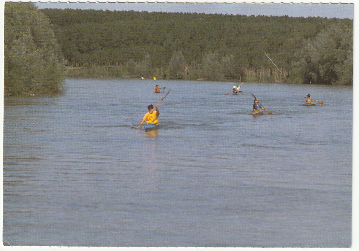 Pontelagoscuro - Ferrara - In Canoa -89017-