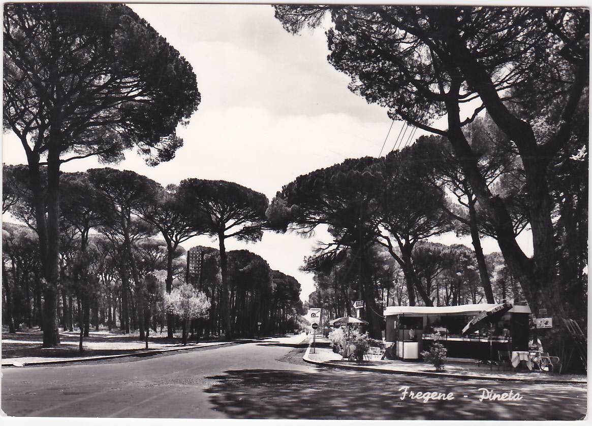 Fregene - Roma - Pineta - Viagg. -86767-