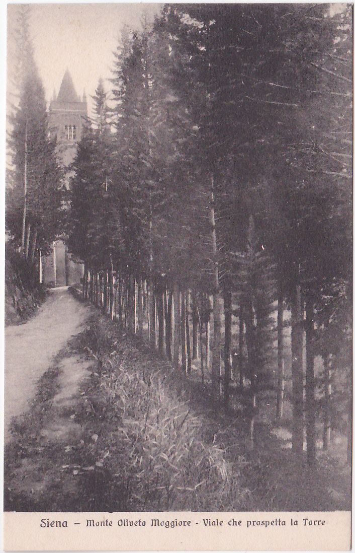 Siena - Monte Oliveto Maggiore - Viale Che Prospetta La Torre -90873-