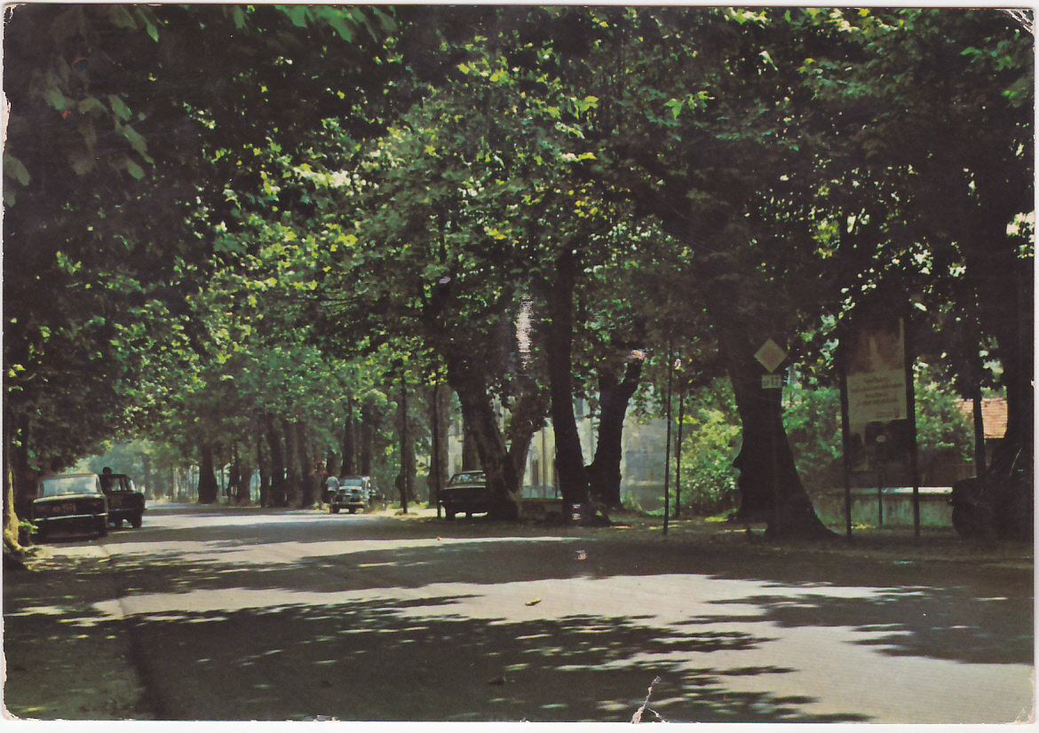 Chiari - Brescia - Viale Mellini - Viagg. -86512-